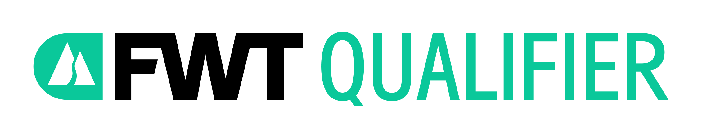 TOYO TIRES FWT JAPAN SERIES 2024 Qualifier 2* YUZAWA | 【公式】湯沢中里スノーリゾート